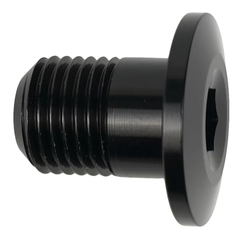 Specialized Levo M12 Battery Mounting Bolt 6mm Hex Head in Black